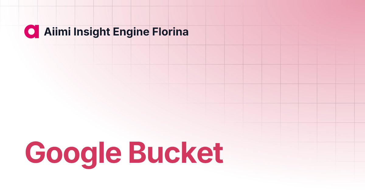 Google Bucket | Aiimi Insight Engine Florina