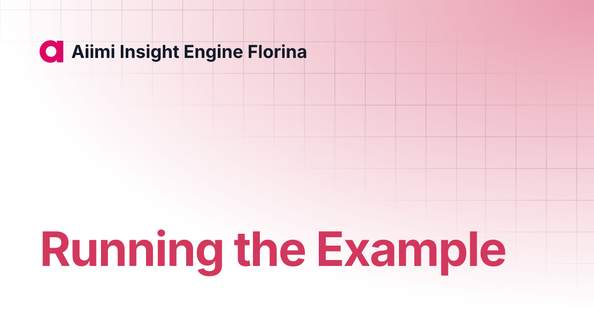Running the Example | Aiimi Insight Engine Florina