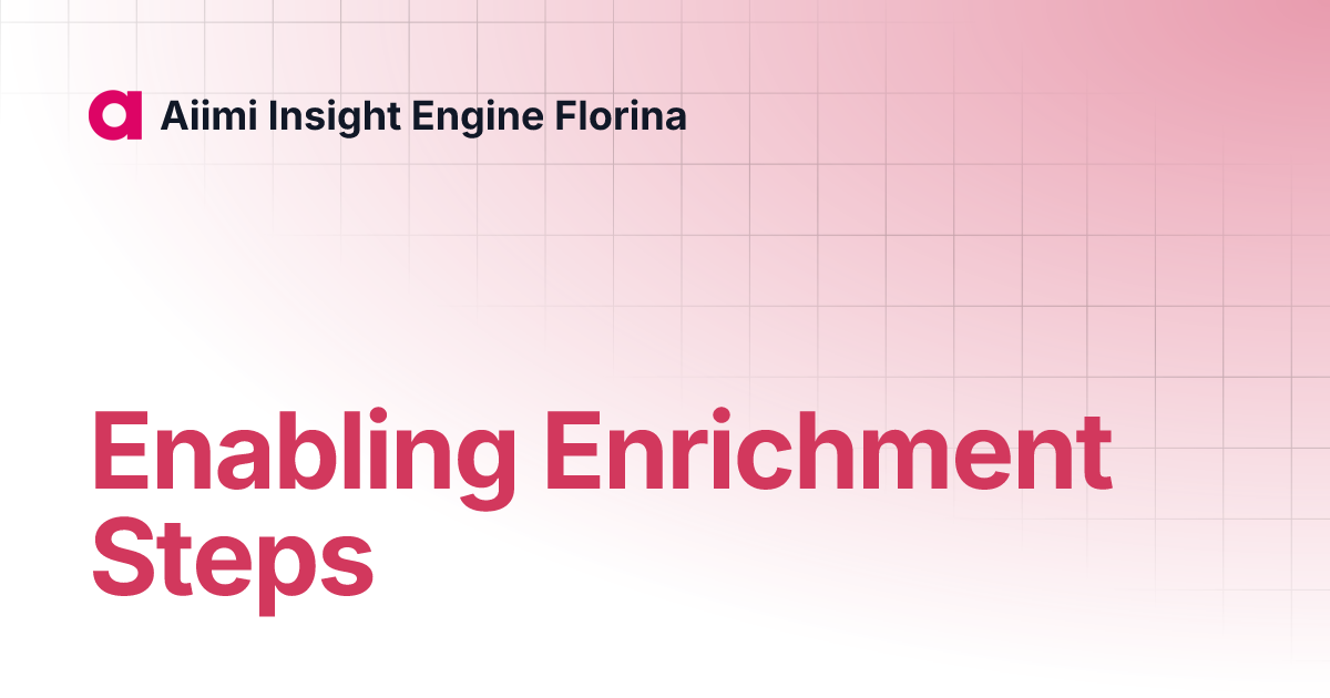 Enabling Enrichment Steps | Aiimi Insight Engine Florina